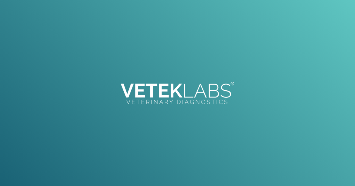 Vetek Labs® | Contact Us